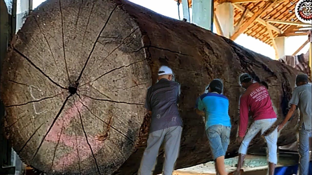 Sawing and cutting hard and large wood that is too risky at the sawmill ...