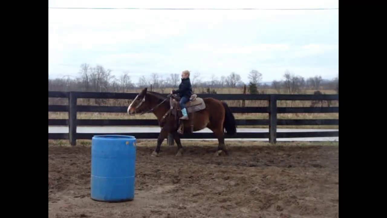 BAY PONY RIDES & DRIVES - YouTube