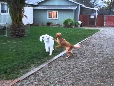 11 20 14 Asha & Simon 3 - YouTube