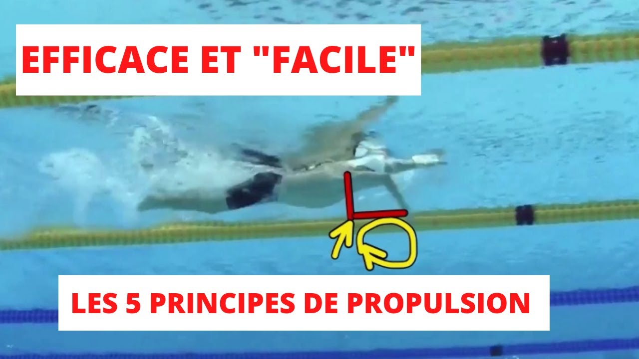 Les 5 principes d'un CRAWL EFFICACE (et plus "facile") à chaque ...