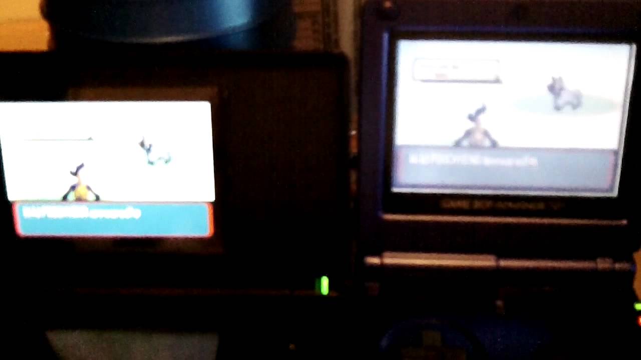 LIVE! Female Shiny Treecko After 420 SR's!!!!!!!!!!! - YouTube