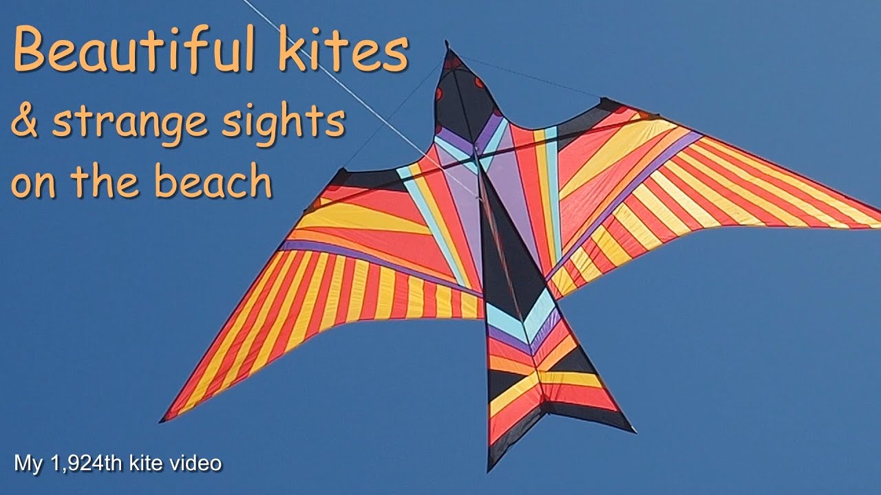 Beautiful kites and strange sights on the beach - YouTube