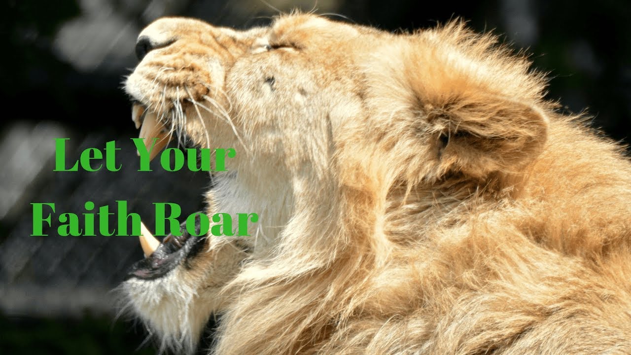 Let Your Faith Roar - YouTube