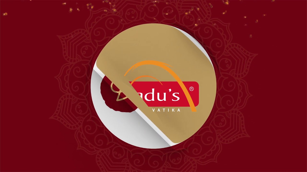 Dadus New Logo - YouTube