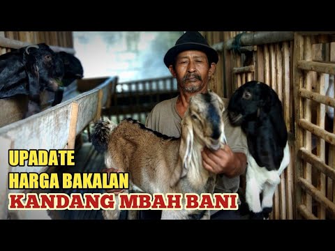 Kandang Mbah Bani - YouTube