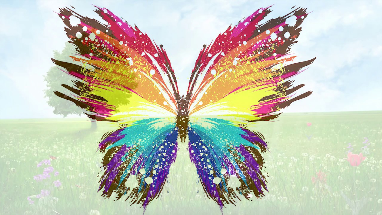 Culori pentru fluturasii cenusii - YouTube