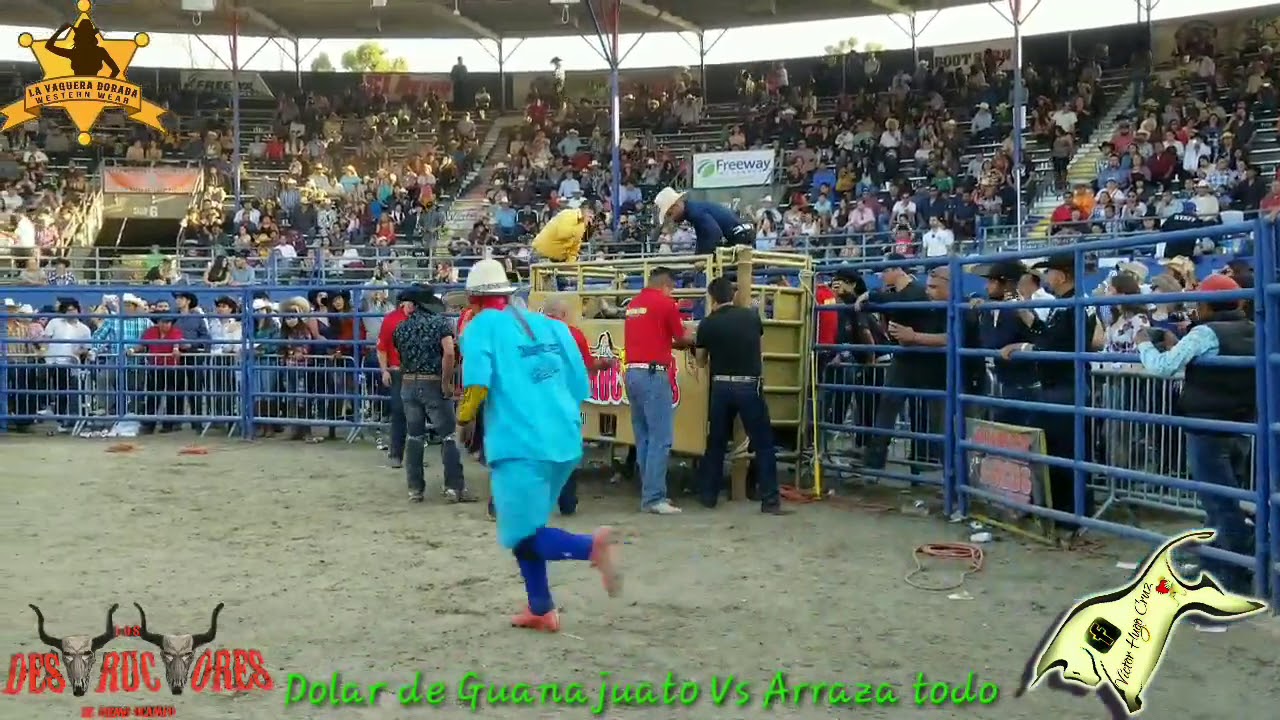 El Dolar de Guanajuato vs Arraza Todo - YouTube
