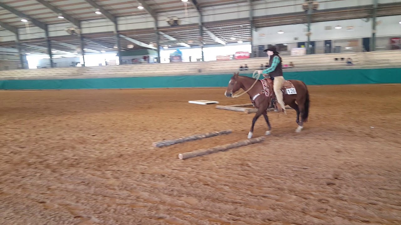 AQHA VRH RANCH TRAIL - Audrey Cunningham on Sugar Oak Cutie - YouTube