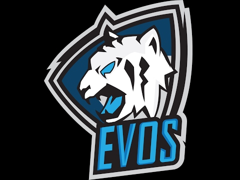 EVOS AMD Highlight 1