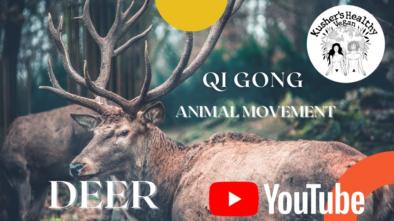 QI GONG ANIMAL MOVEMENT: DEER - YouTube