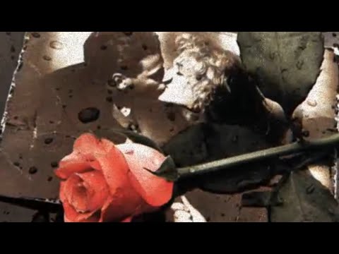 Bitmeden Bu Ruya Olsem..Yuregim Avuclarinda..(Serce Dizi)