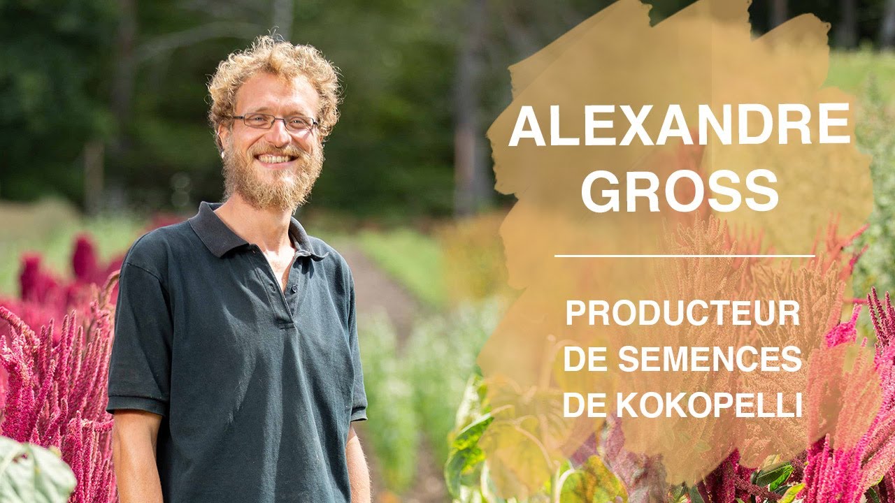 Rencontre avec Alexandre Gross, producteur de semences de Kokopelli - YouTube