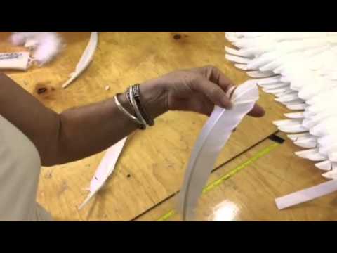 Broken wing tip? Bent or distressed feathers getting you down? How to ...