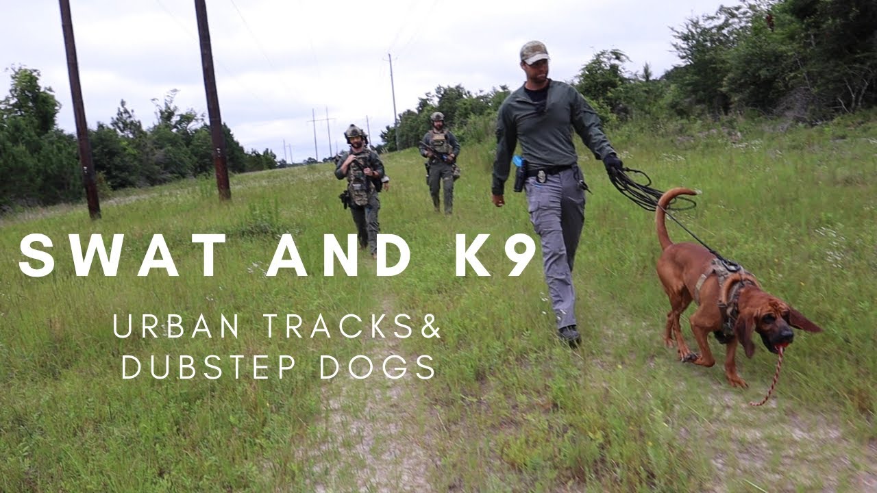 SWAT and K9, Urban Tracking & Dubstep Dogs - YouTube