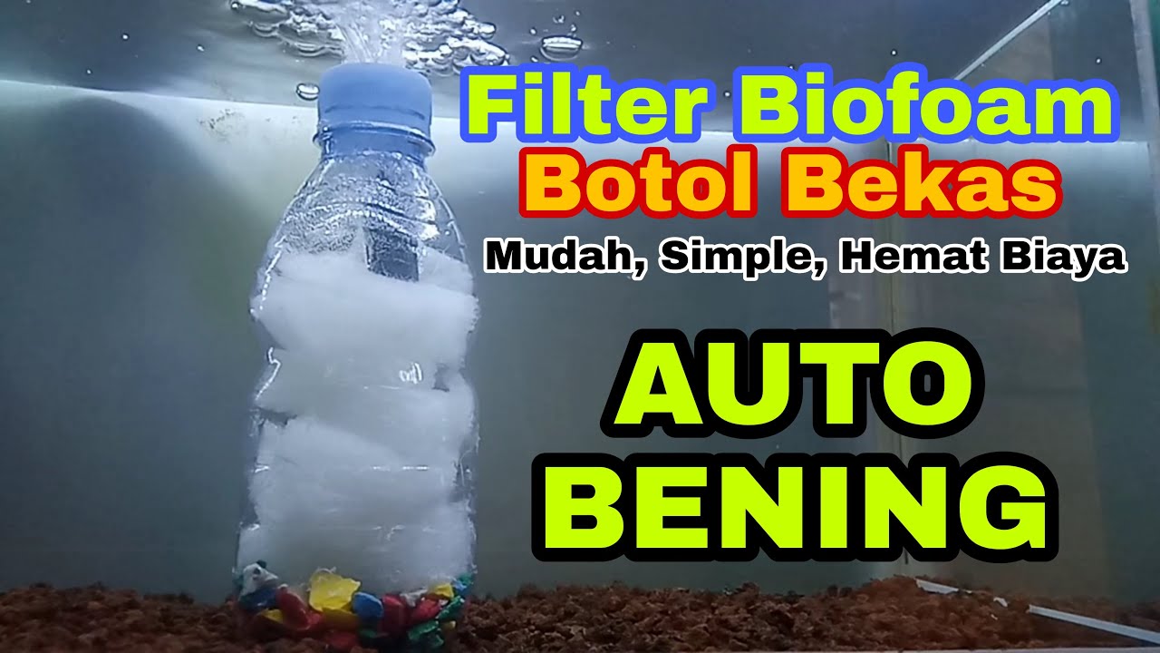Cara Membuat Filter Biofoam Pakai Botol Bekas - YouTube