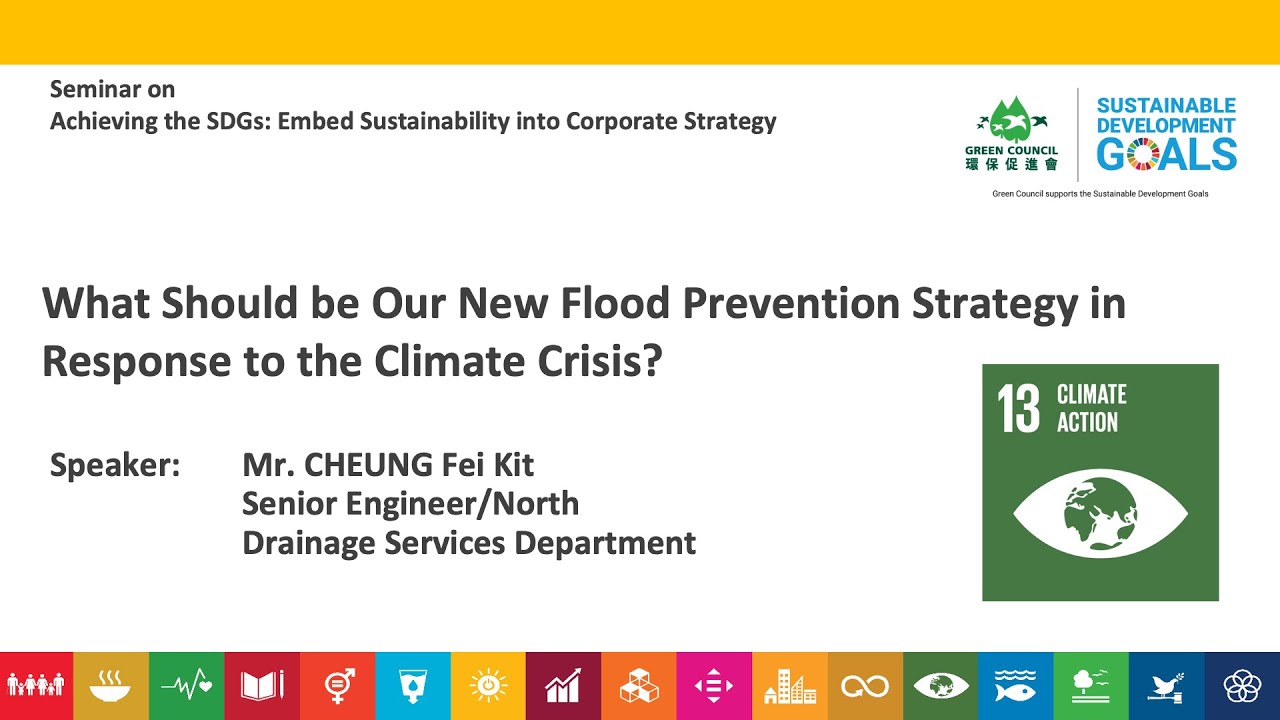 UNSDGAA 2024 - DSD: What Should be Our New Flood Prevention Strategy in ...