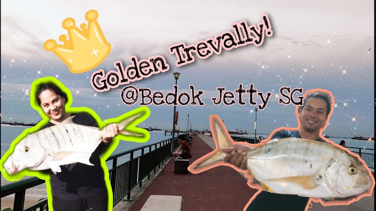 BEDOK JETTY MONSTER GOLDEN TREVALLY/HIGANTENG TALAKITOK #fishing # ...