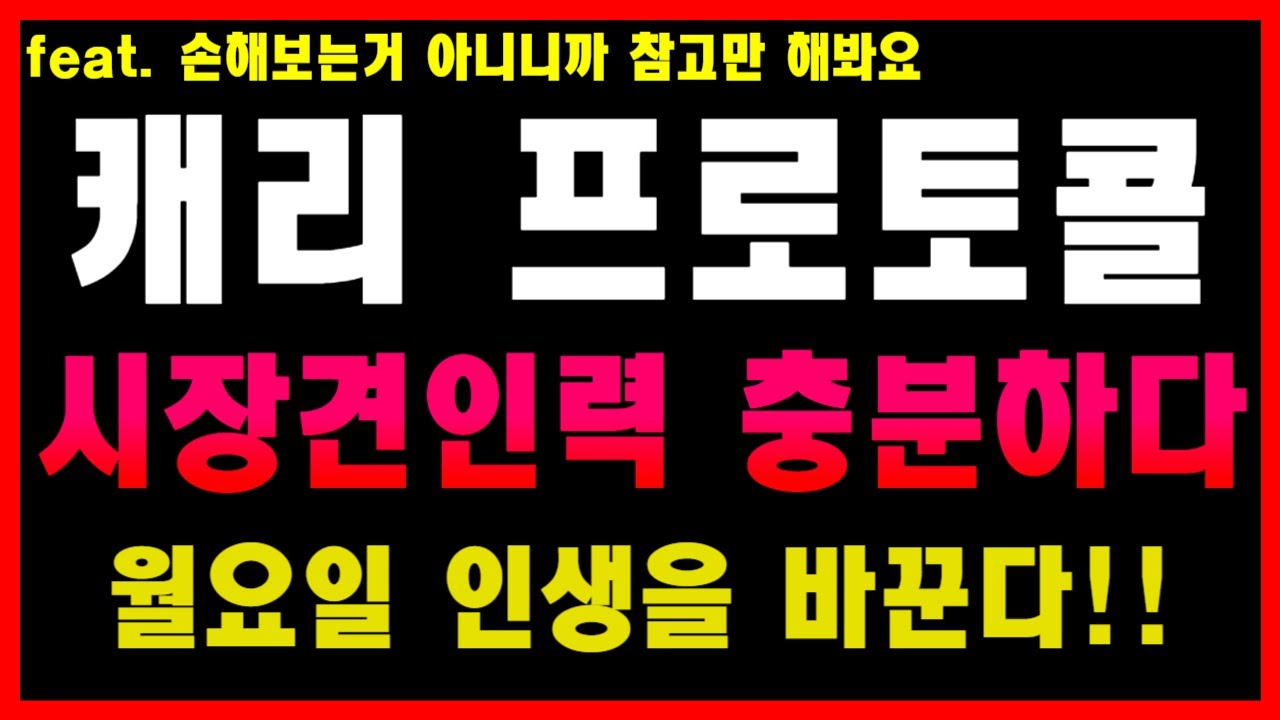 캐리프로토콜 앞으로 시장을 견인할 알트 코인으로 집중 캐리프로토콜코인 캐리프로토콜 Youtube