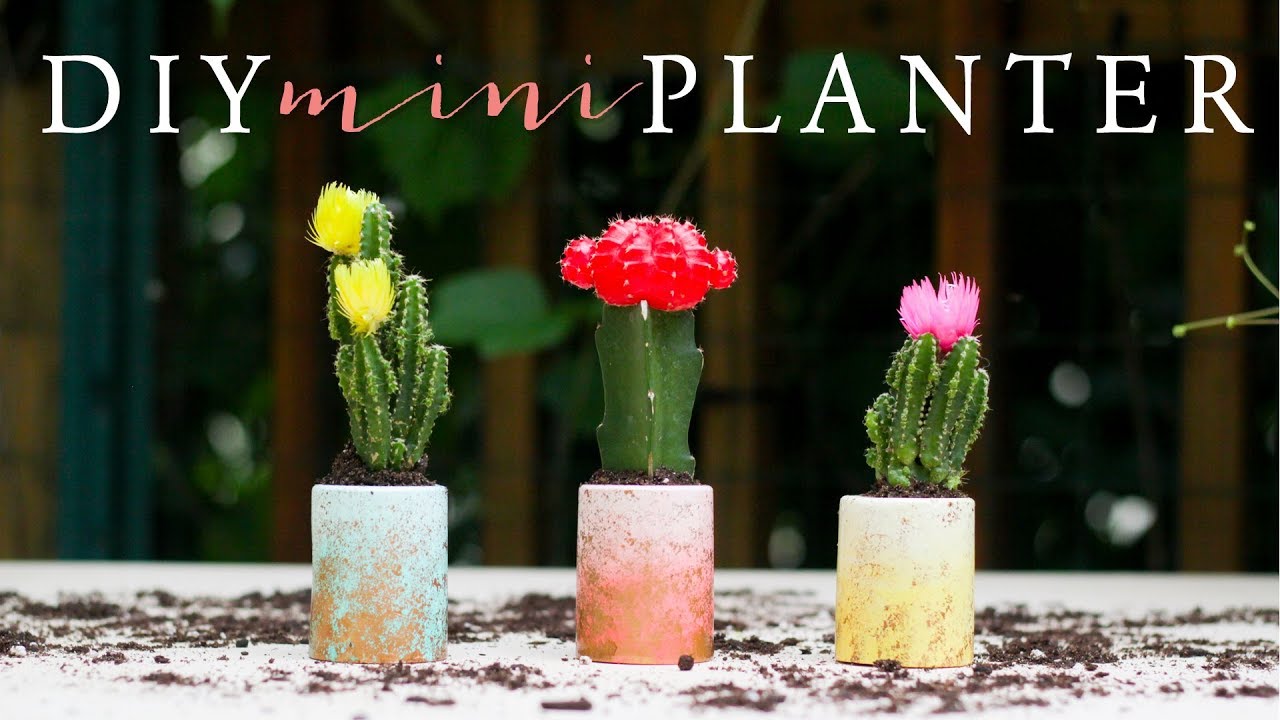 DIY Mini Cactus Planter - YouTube