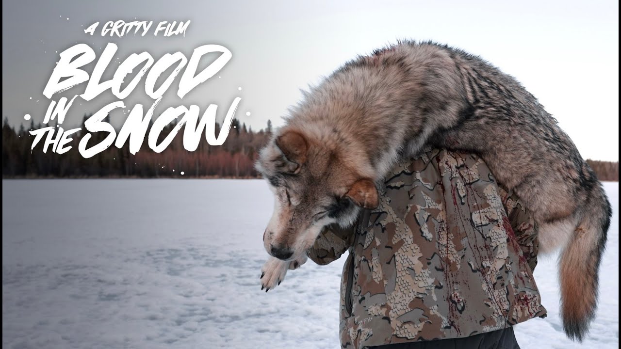 TRAILER: BLOOD IN THE SNOW | NEW GRITTY FILM - YouTube