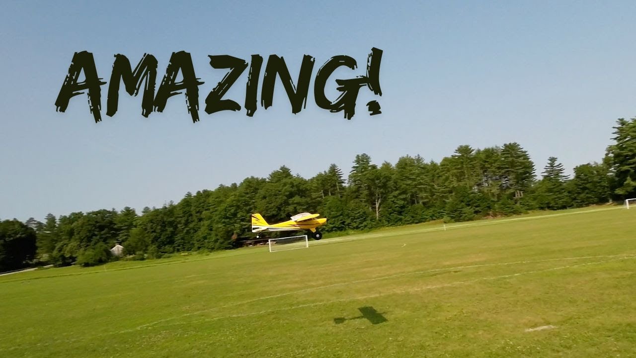 Amazing! - Super Timber its does it all! - YouTube