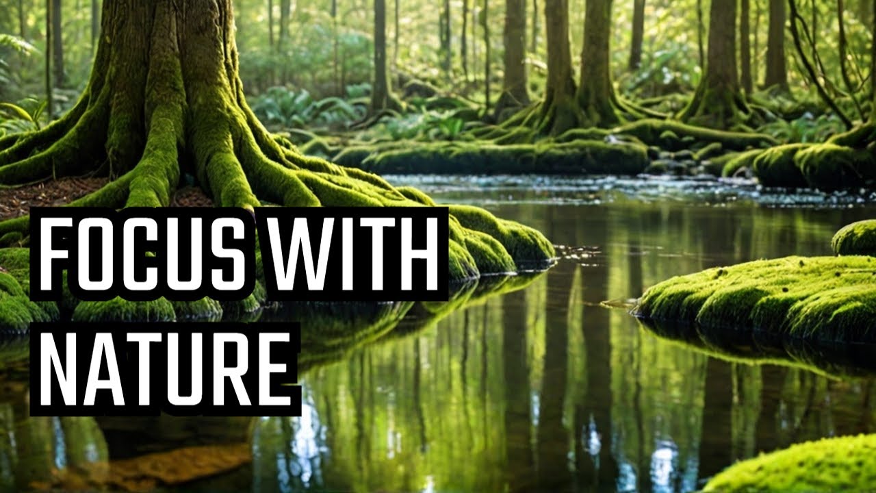 🔴 Night Ambient Sounds cricket, Relaxing swamp sounds, swamp rain ...