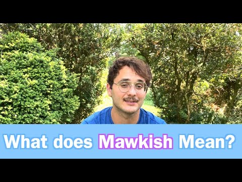 What Does Mawkish Mean? Learn Daily Vocabulary - YouTube