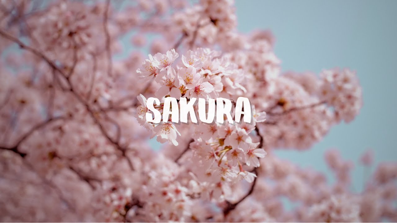"Sakura" - Inspirational Rap Beat | Free Hip Hop Beat 2025 | Ar1yam ...