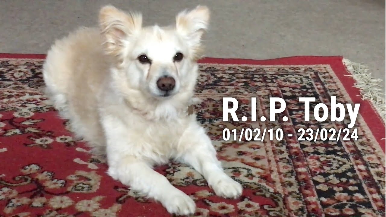 RIP Toby (2024) - YouTube