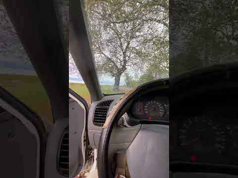 Böyle havaların kölesiyim🌧️#narkoz #araba #duygusal #yağmur