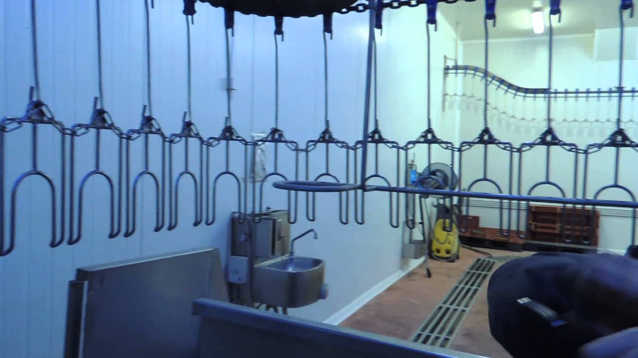 Abator Rachiti judetul Botosani - YouTube