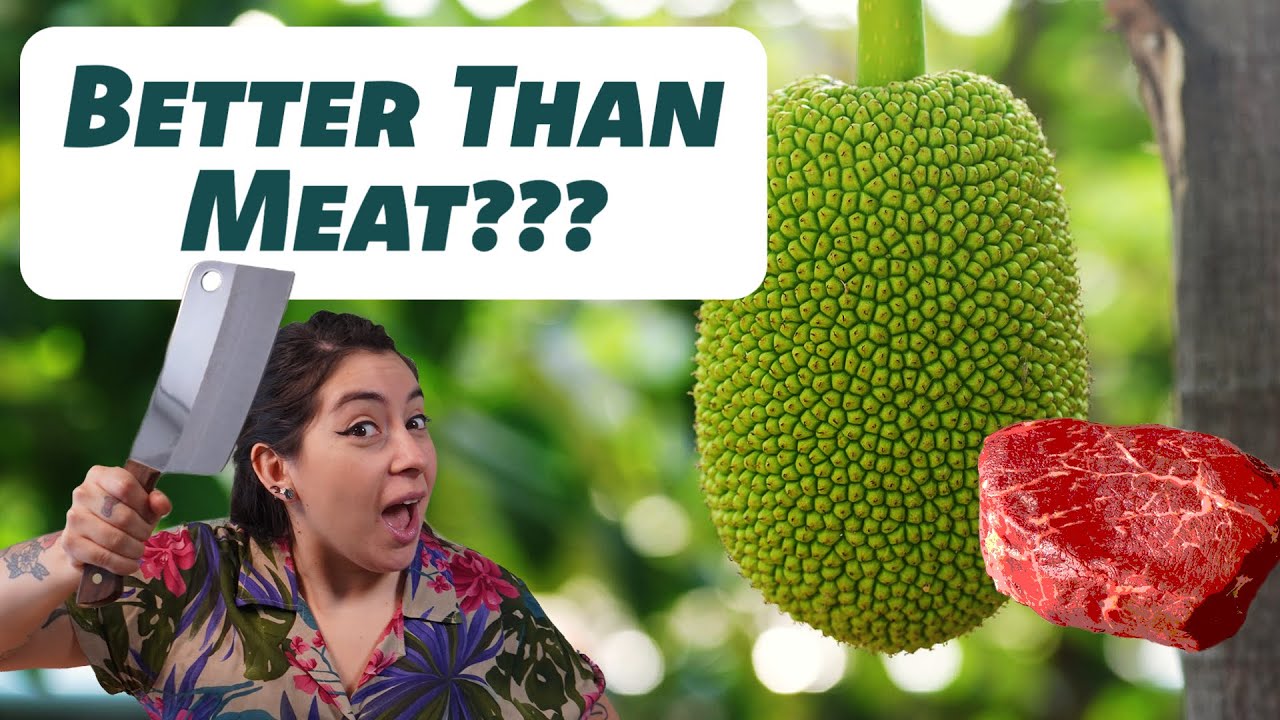 Jackfruit: The BIG Meat Alternative | BrainFood TV - YouTube