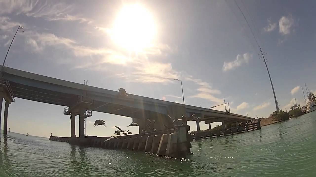 S/V Halcyon - Sailing Biscayne Bay & The Florida Keys - YouTube