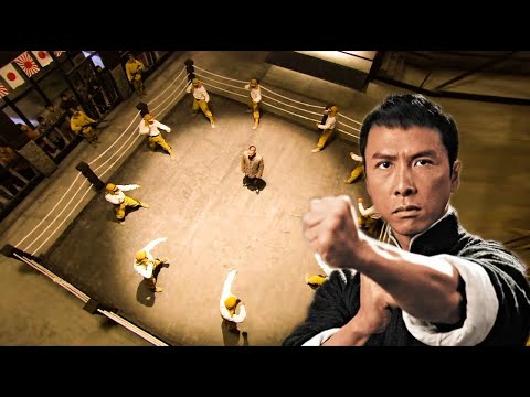 IP MAN FRANCHISE - Full Combat Recap