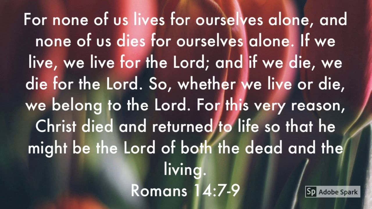 Romans 14 7 9 YouTube romans-14-7-9-youtube