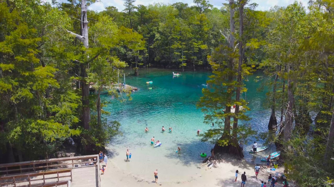 Aquatic Adventure to Ponce De Leon Springs & Morrison Springs - YouTube