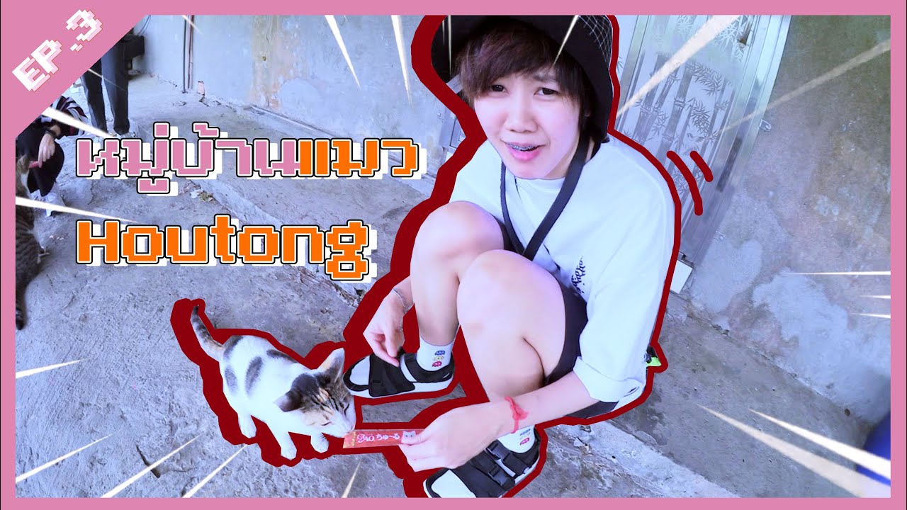Taiwan VLOG Ep.3 หมู่บ้านแมว Houtong แมวน่ารักเยอะมากมากกกกก | NIKSTAR - YouTube