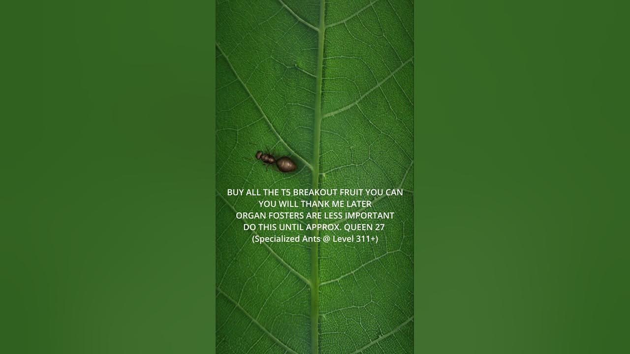 Specialized Ants Tutorial - Part 2 (Ant Legion) - YouTube