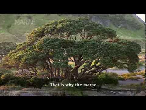 Toku Kainga My Home - Mahue Dewes - Horoera - YouTube