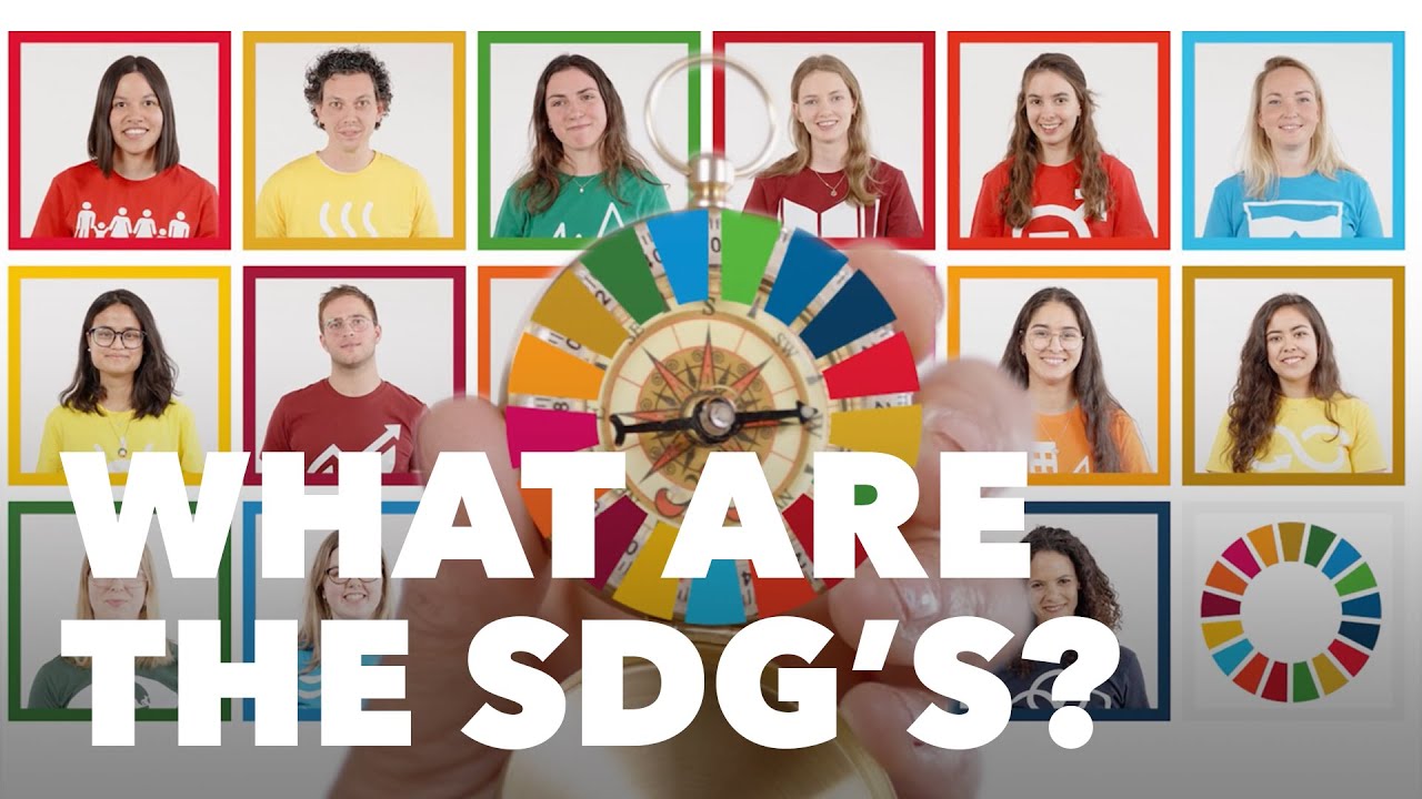 What are the SDG's: a colorful compass (Dutch-English subs) - YouTube