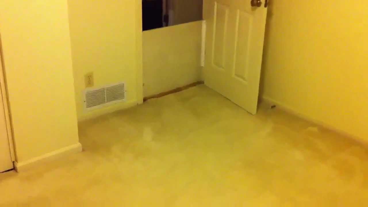 The Ferret's new room - Part 1 - YouTube