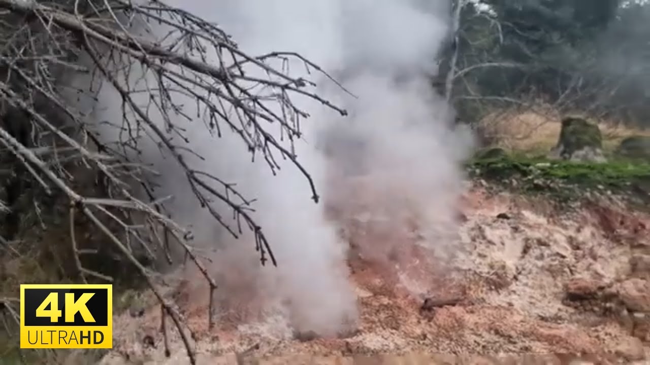 Only in Iceland! Geothermal forest with a natural chimney called ...