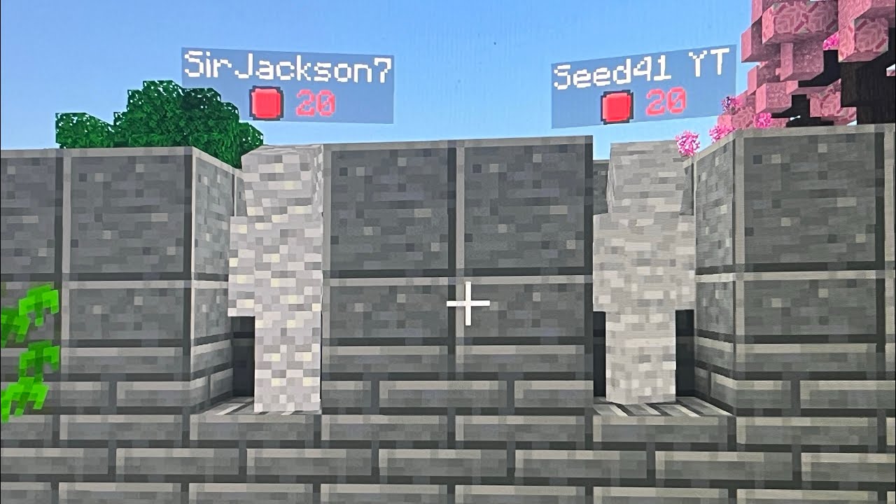 Minecraft hide and kill: duos - YouTube