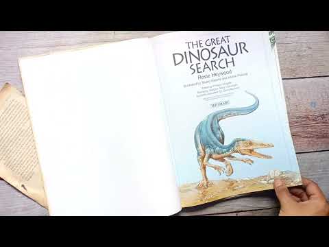 Flip Through: Usborne The Great Dinosaur Search | Prehistoric Puzzle Fun
