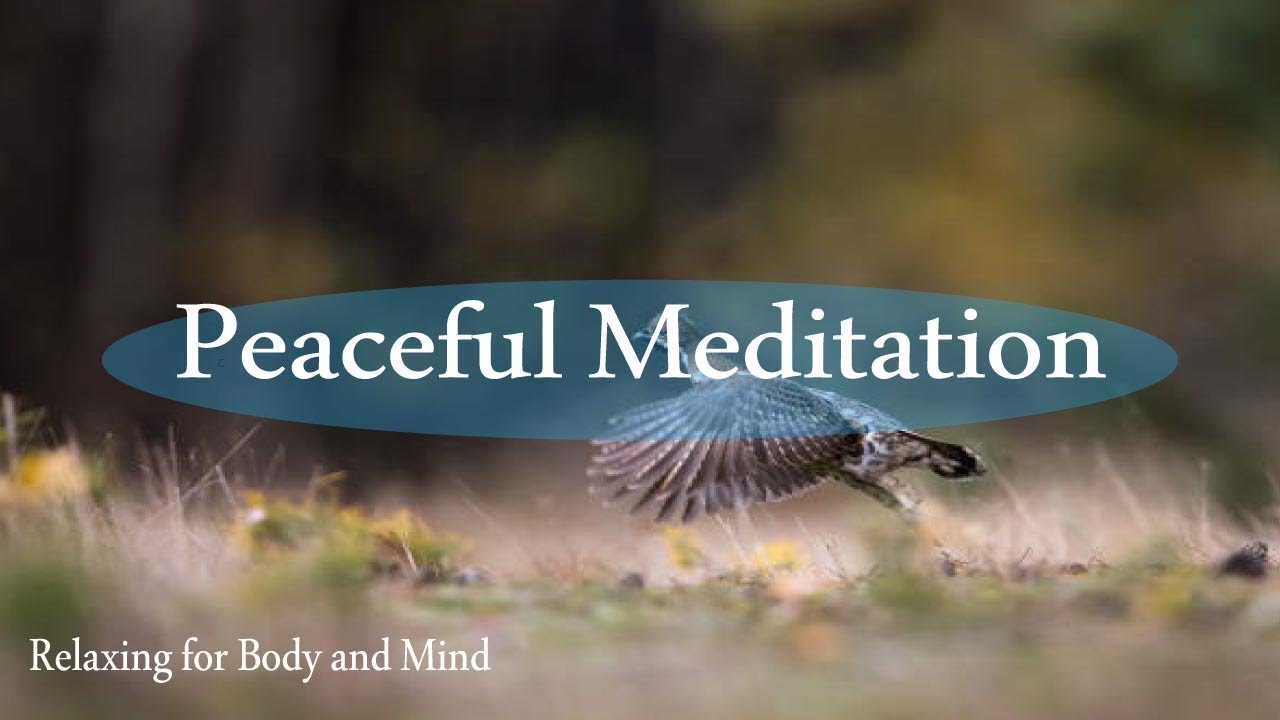 Calming Mindfulness with Peaceful Relaxation, Tranquil Nature Scenes ...