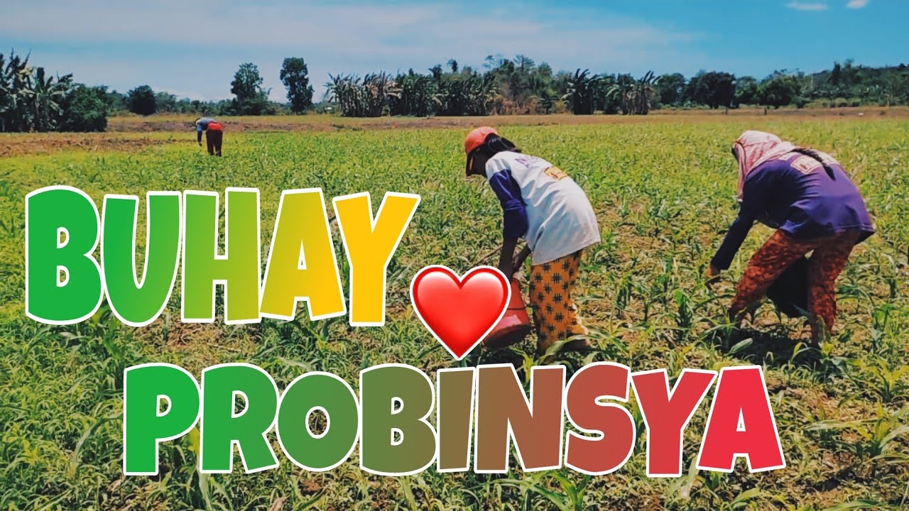 Buhay Probinsya | Nag abuno sa bukid | Ang saya kasama ang pamilya | Jelyn Vlogs - YouTube