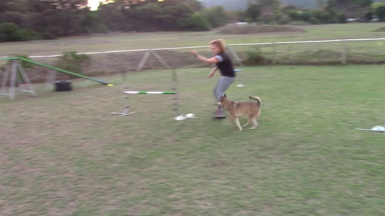 Nala Course A2 27-04-2017 - YouTube