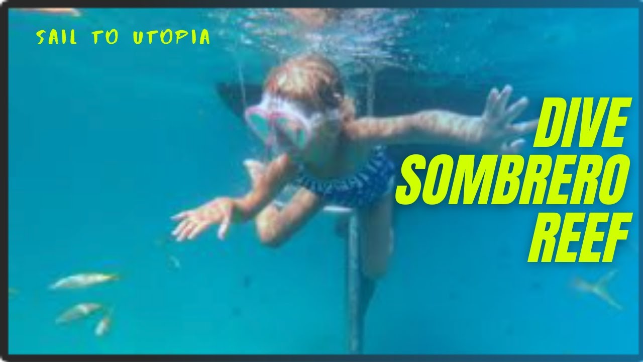 Diving Sombrero Reef in crystal clear water! - YouTube