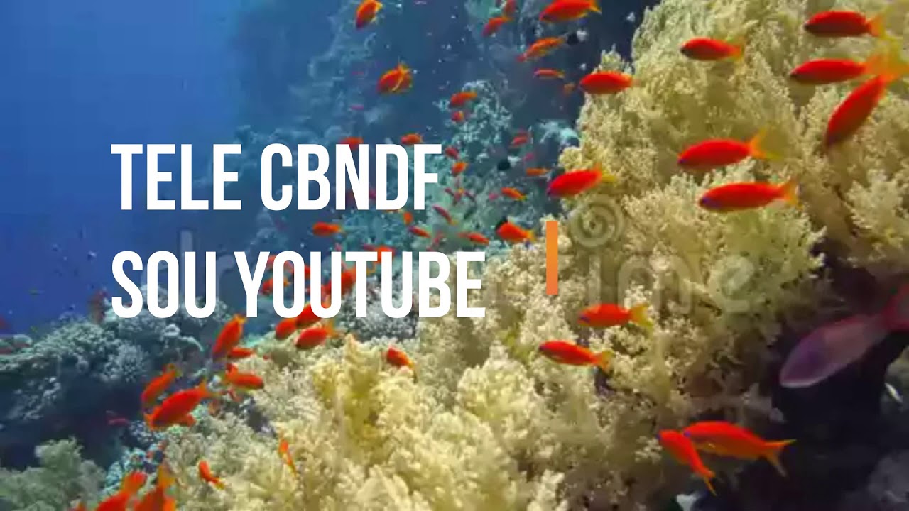 TELE CBNDF SOU YOUTUBE - YouTube