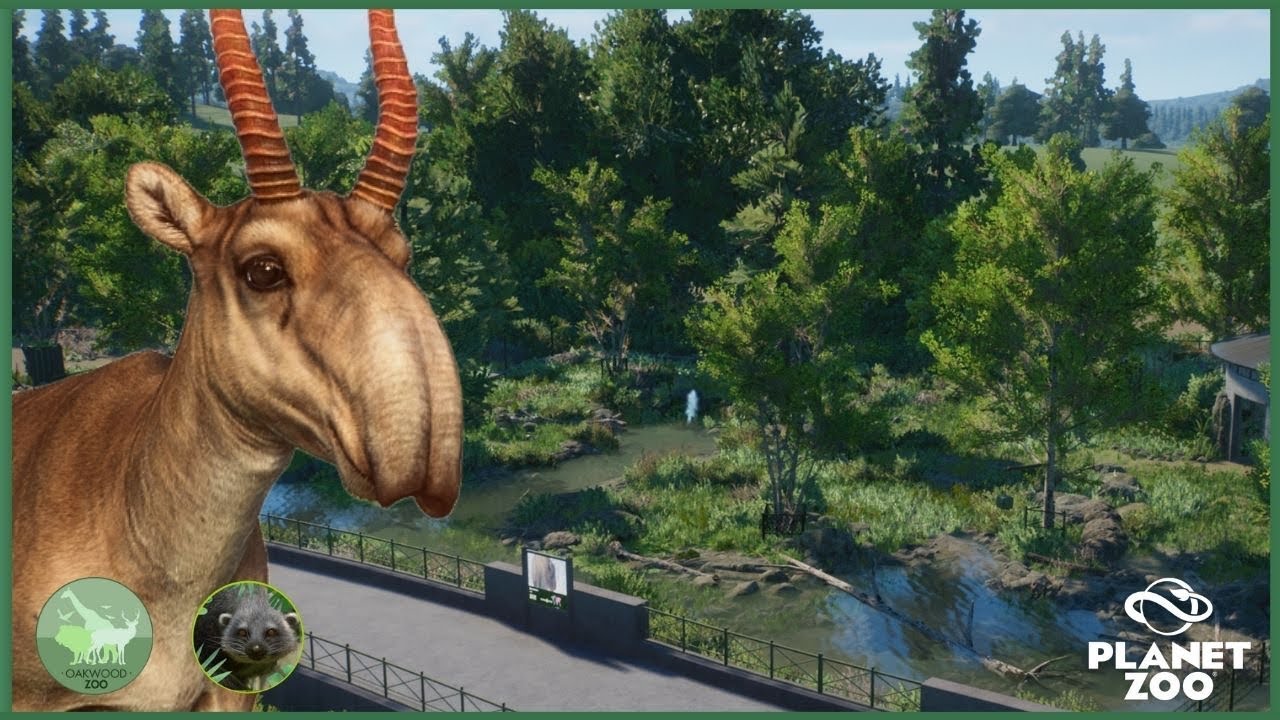 Building a Super Realistic SAIGA Habitat | Ep. 34 | OakWood Zoo - YouTube